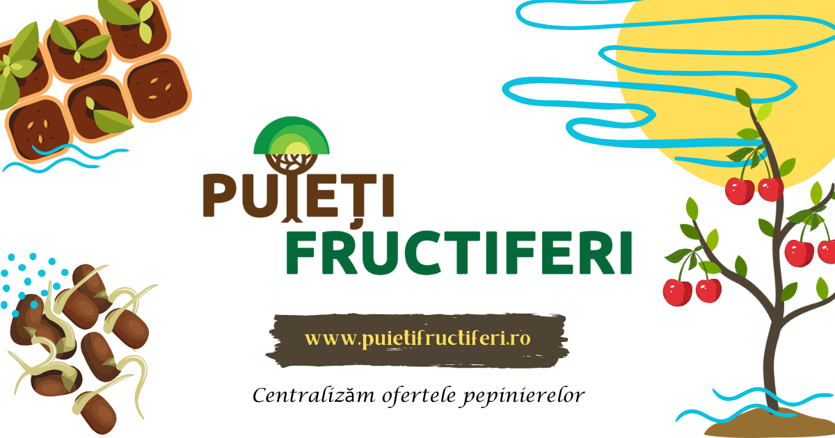 Pepiniere pomi și arbuști fructiferi - Centralizator de stocuri și ...